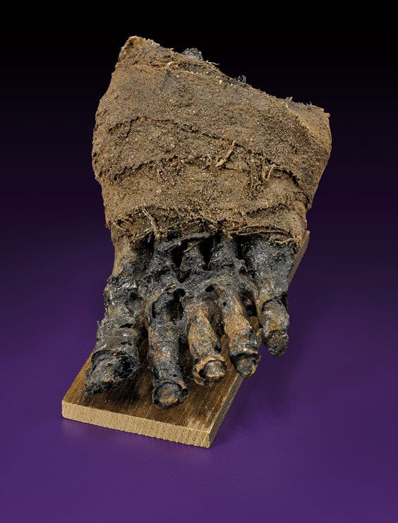 MUMMIFIED EGYPTIAN FOOT