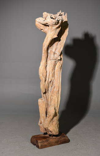 Teak Root Sculpture On Stand #2