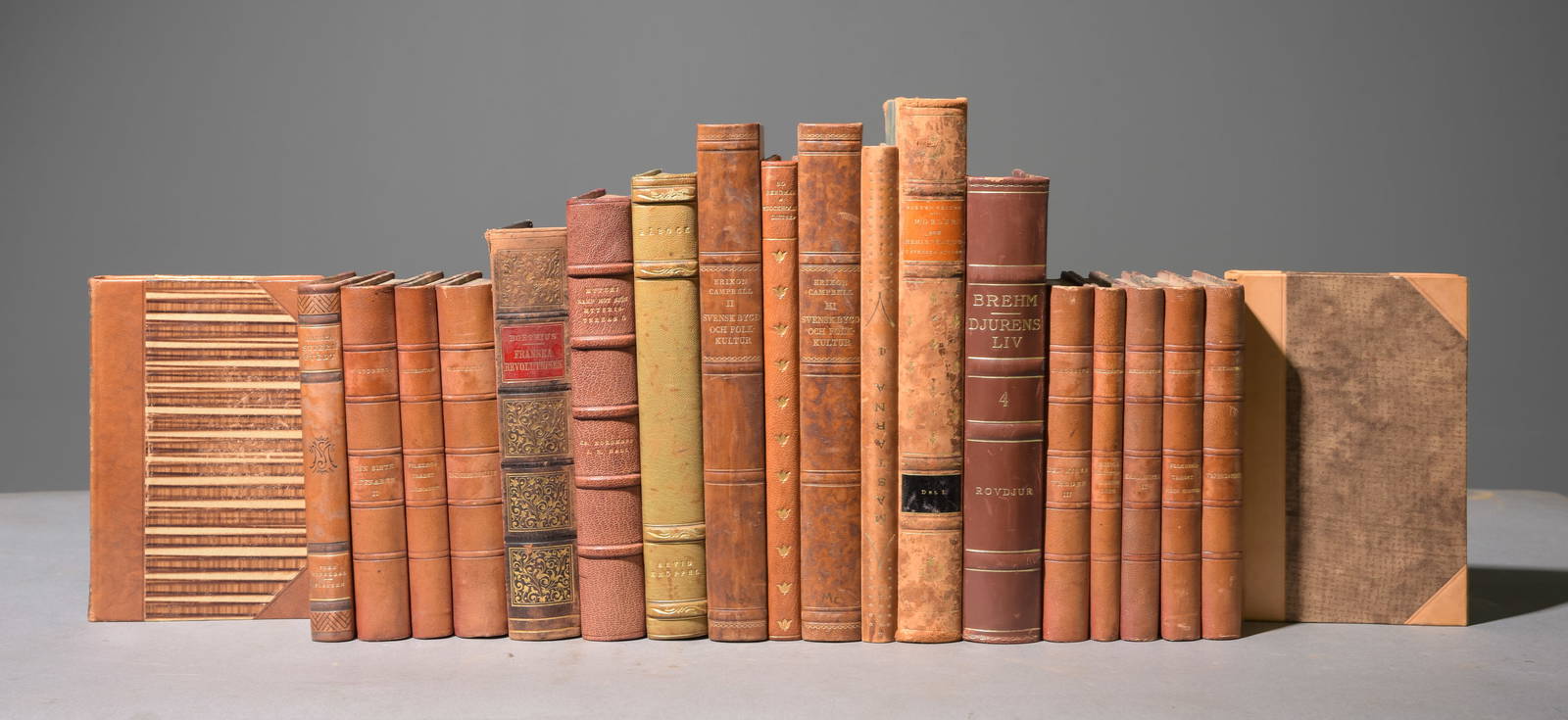 20 European Assorted Leather Bound Books #1 Auction