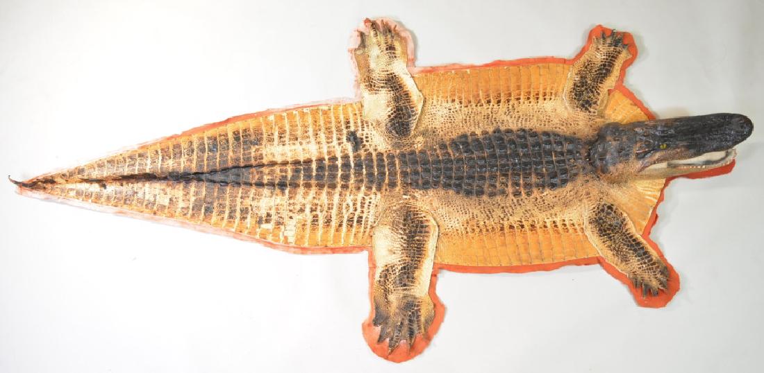 Full Body Alligator Rug Wall Mount