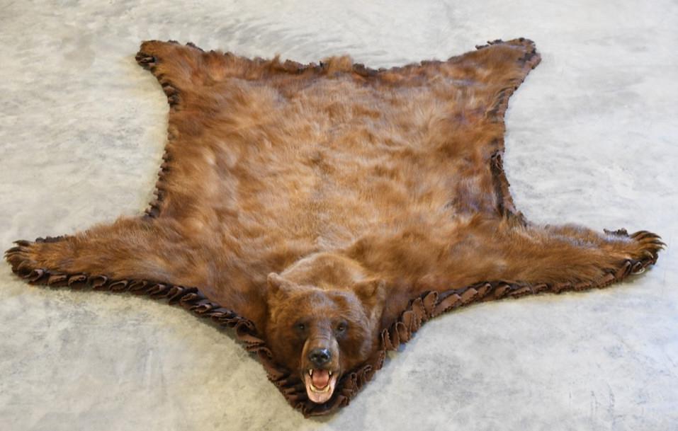 Cinnamon Black Bear Full Body Taxidermy Rug