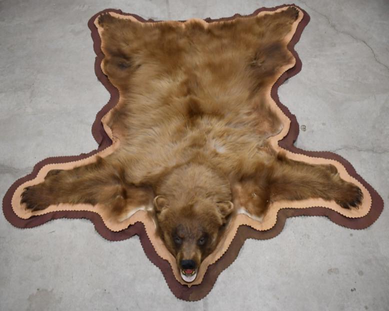 Brown Bear Full Body Taxidermy Rug