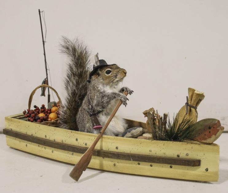 Full Body Gary Squirrel Taxidermy Mount In Canoe