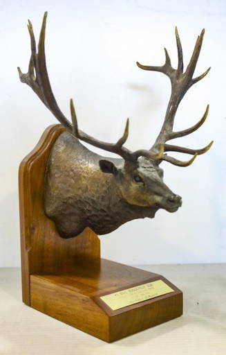 Boone & Crockett #1 Bronze Elk By Allan Schwindt (#1306) on Jan 08 ...