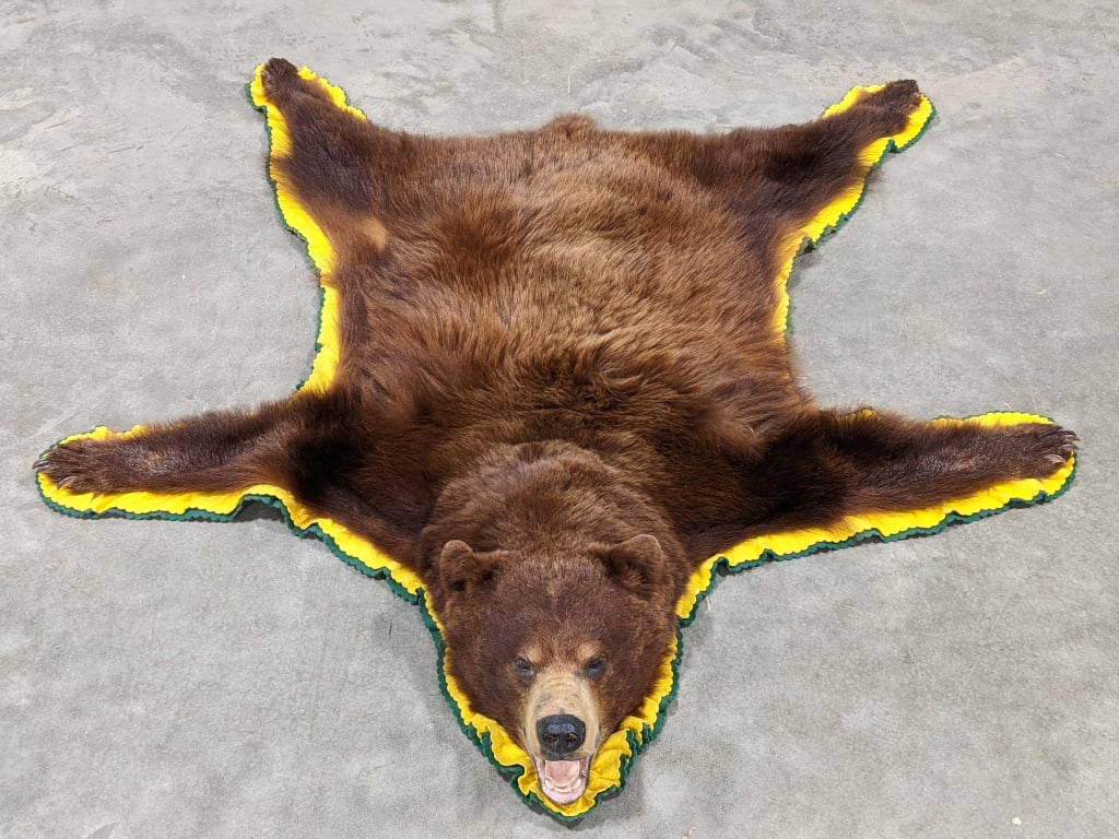 Brown Bear Skin Rug W/ Head & Paws Auction