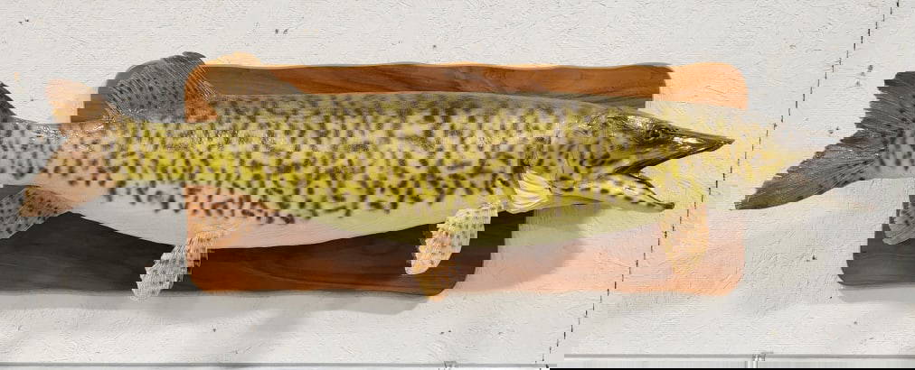 Trophy 43in Tiger Muskie Mount On Plaque