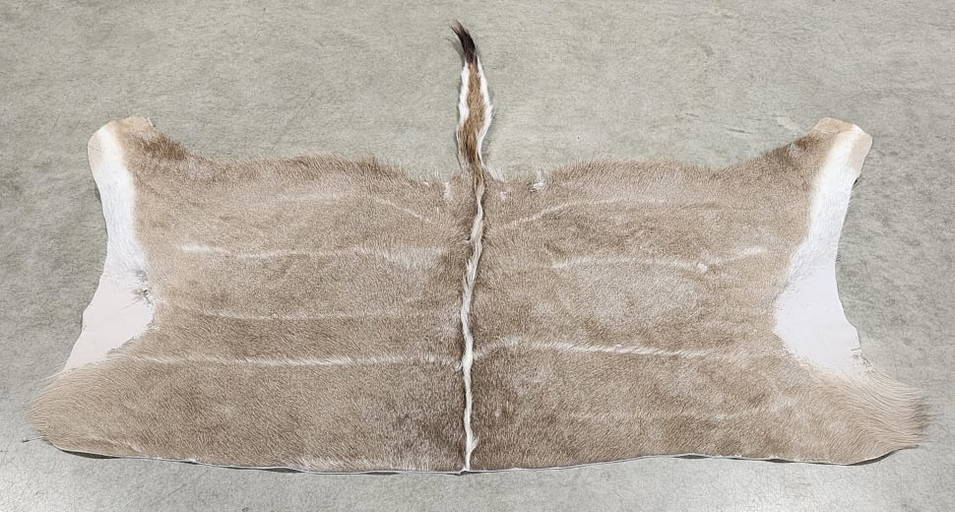 South African Soft Tanned Kudu Hide W/ Tail