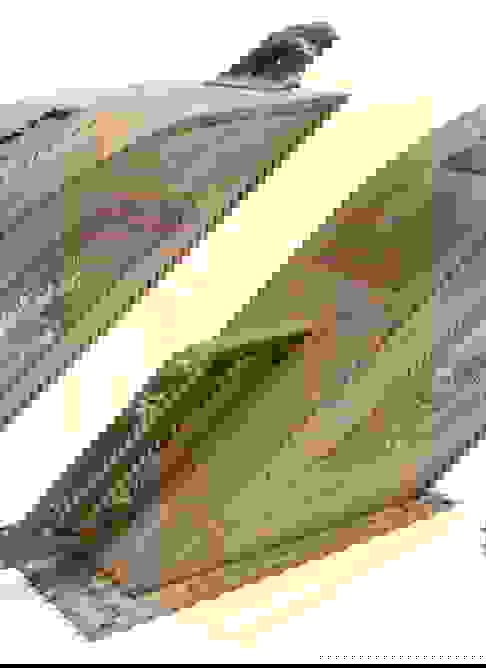 Early 1 Cents Hercules Coin Op Grip Strength Tester Auction