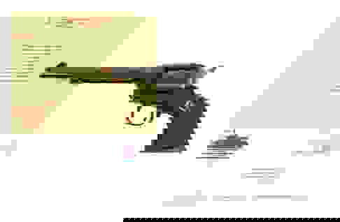 Hank Williams Jr Ruger .22 Mag Single Six Revolver Auction