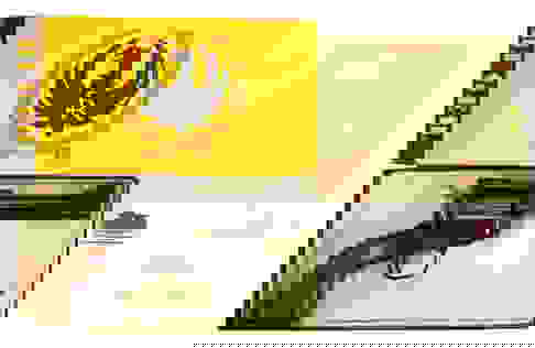 Hank Williams Jr. Ruger Blackhawk .41 Mag Revolver Auction