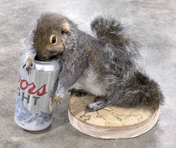 Drunk Drinkin' Full Body Grey Squirrel W/ Coors