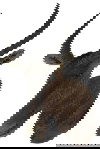 Tsessebe Antelope Shoulder Mount