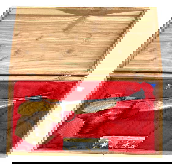 Russian Toz -35m Free Pistol .22lr With Box Auction