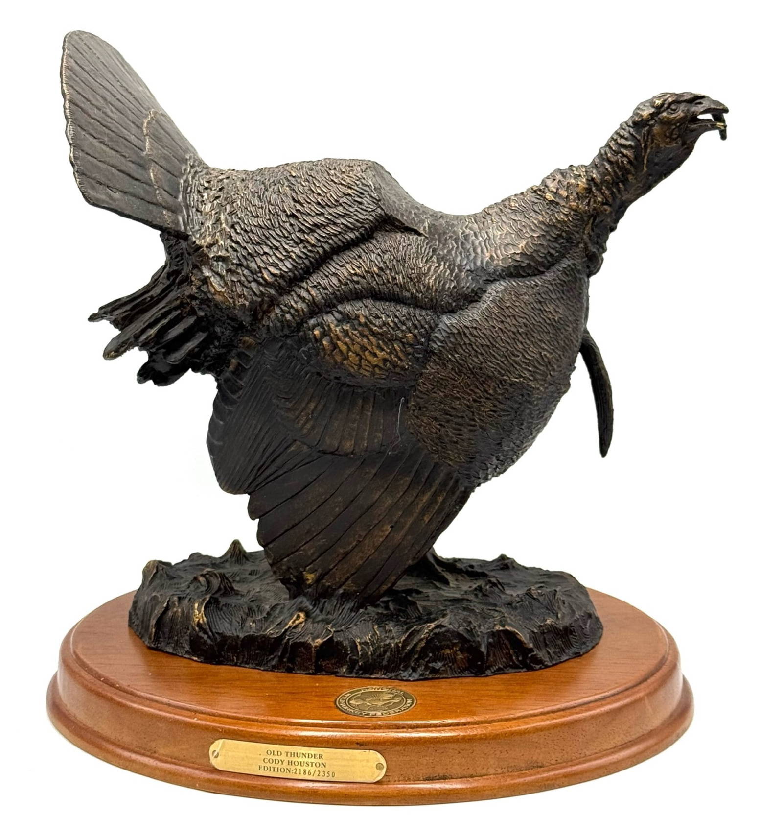 National Wild Turkey Federation " Old Thunder " By Cody Houston Auction