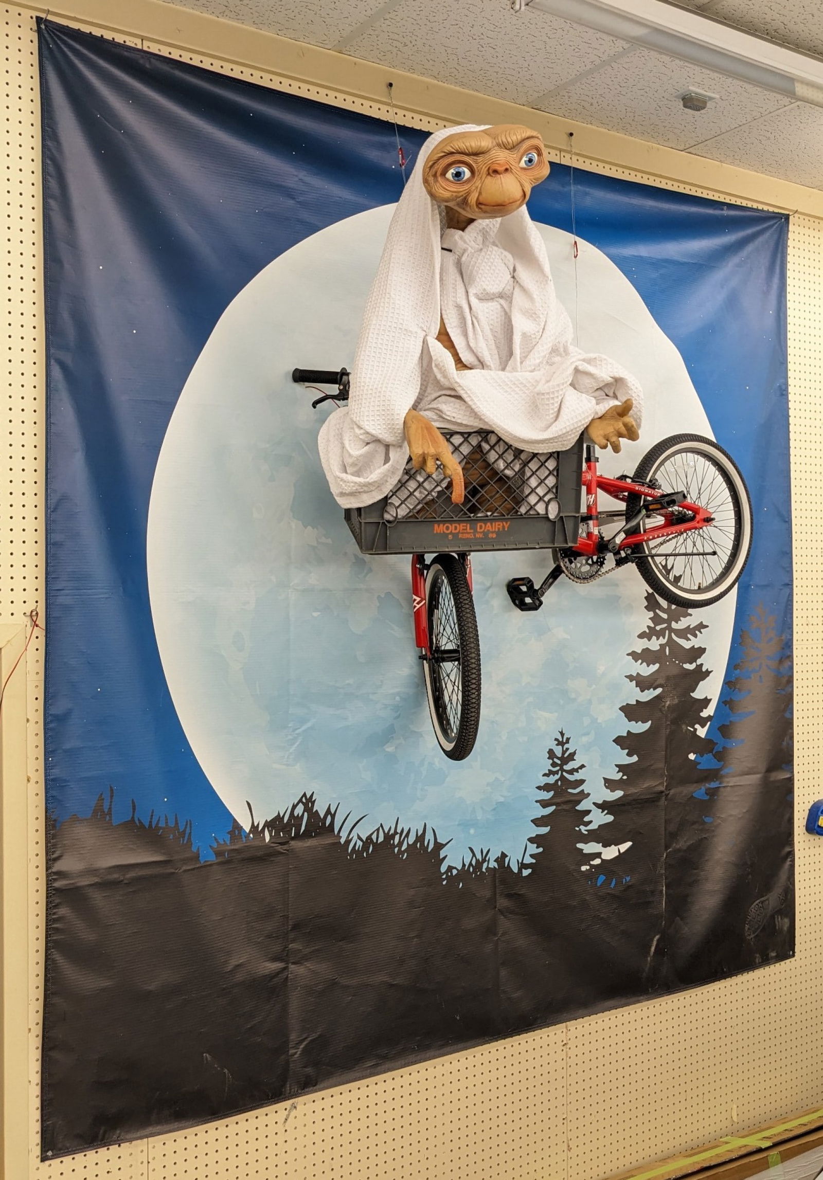 Life Size E.t. The Extra Terrestrial Life Size Prop & Display Auction