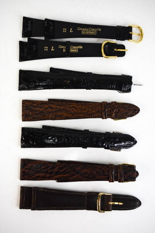 Crocodile & Genuine Shark Skin Watch Bands Auction