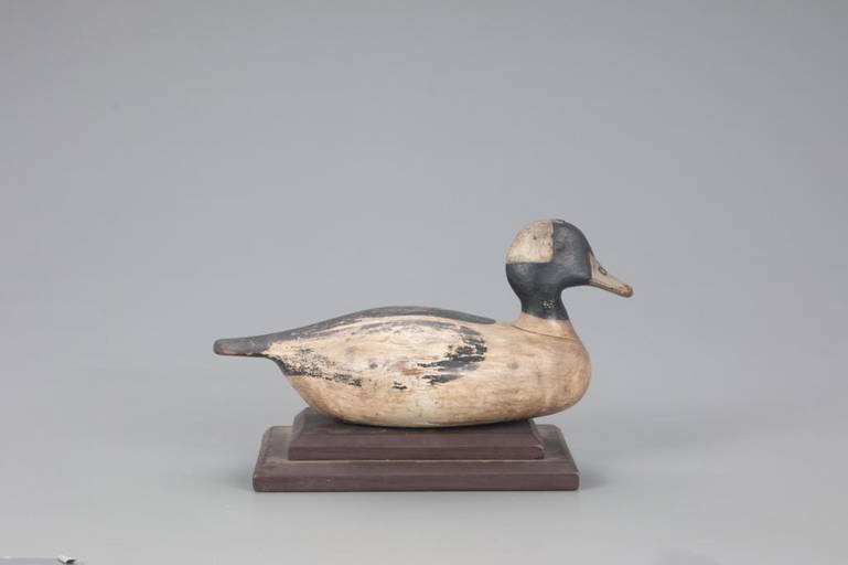 Early Bufflehead Drake Decoy, Harvey Stevens