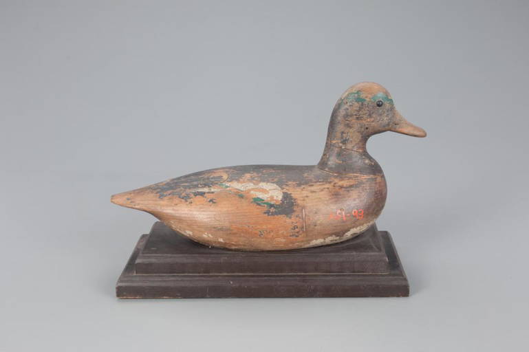 Wigeon Drake Decoy, Verity Family
