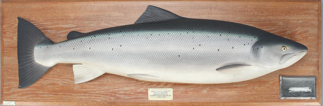 Atlantic Salmon Model, Hardy Brothers (alnwick) Ltd.