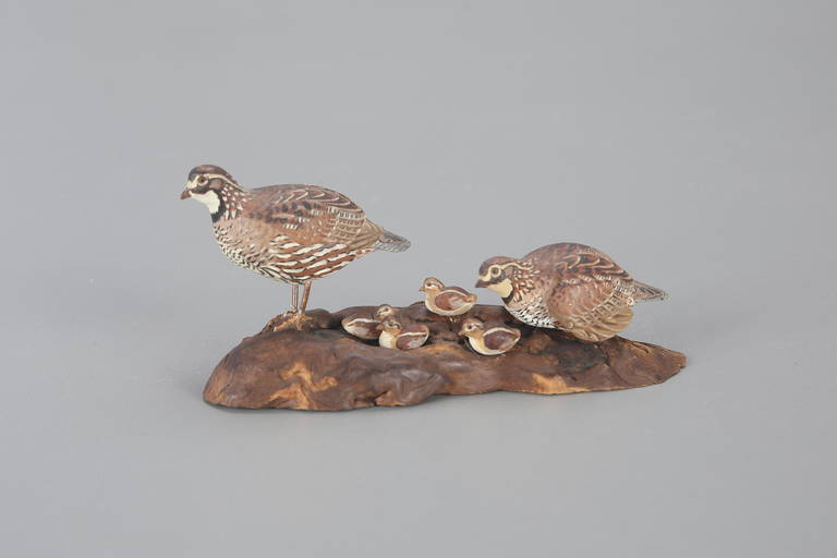 Miniature Quail Family By Allen J. King (1878 1963)