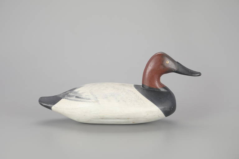 Canvasback Drake Decoy By James A. "jim" Currier (1886 1969)