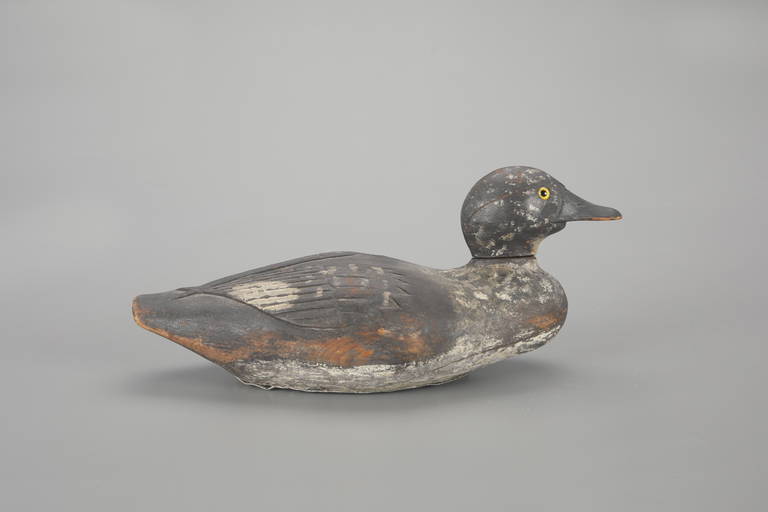 Mackey Goldeneye Hen Decoy