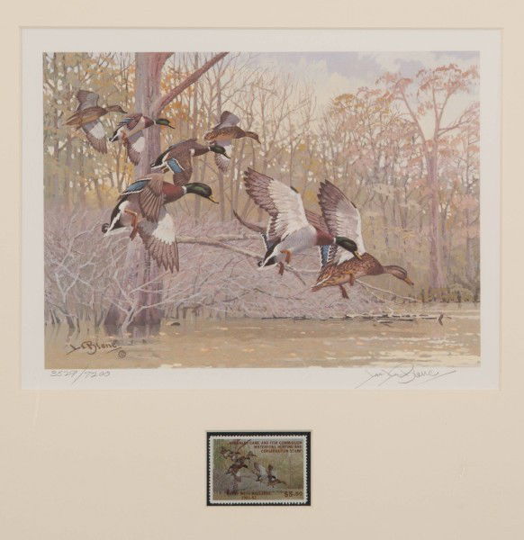 402: Eleven State Duck Stamp Prints