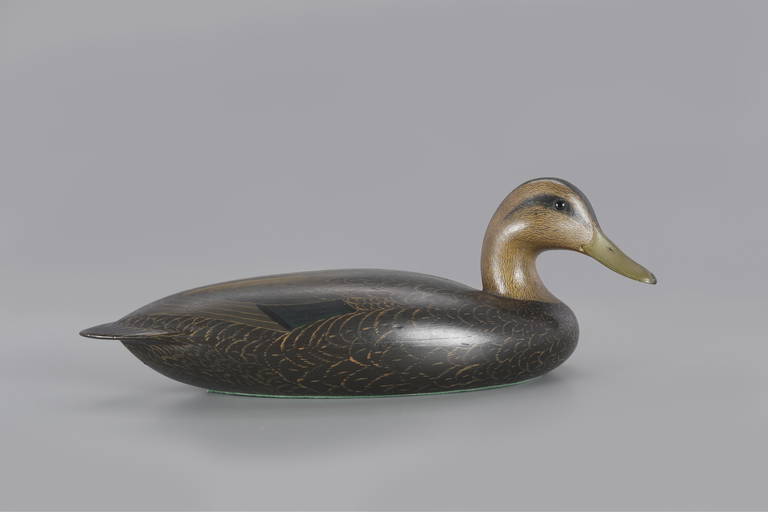 The Connett Wheeler Black Duck Decoy By Charles "shang" Wheeler (1872 1949)