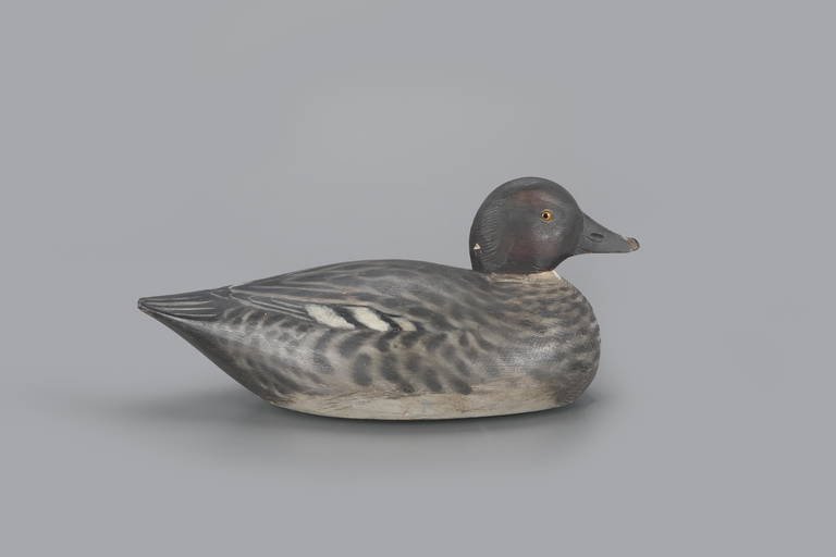 Early Goldeneye Hen Decoy By A. Elmer Crowell (1862 1952)
