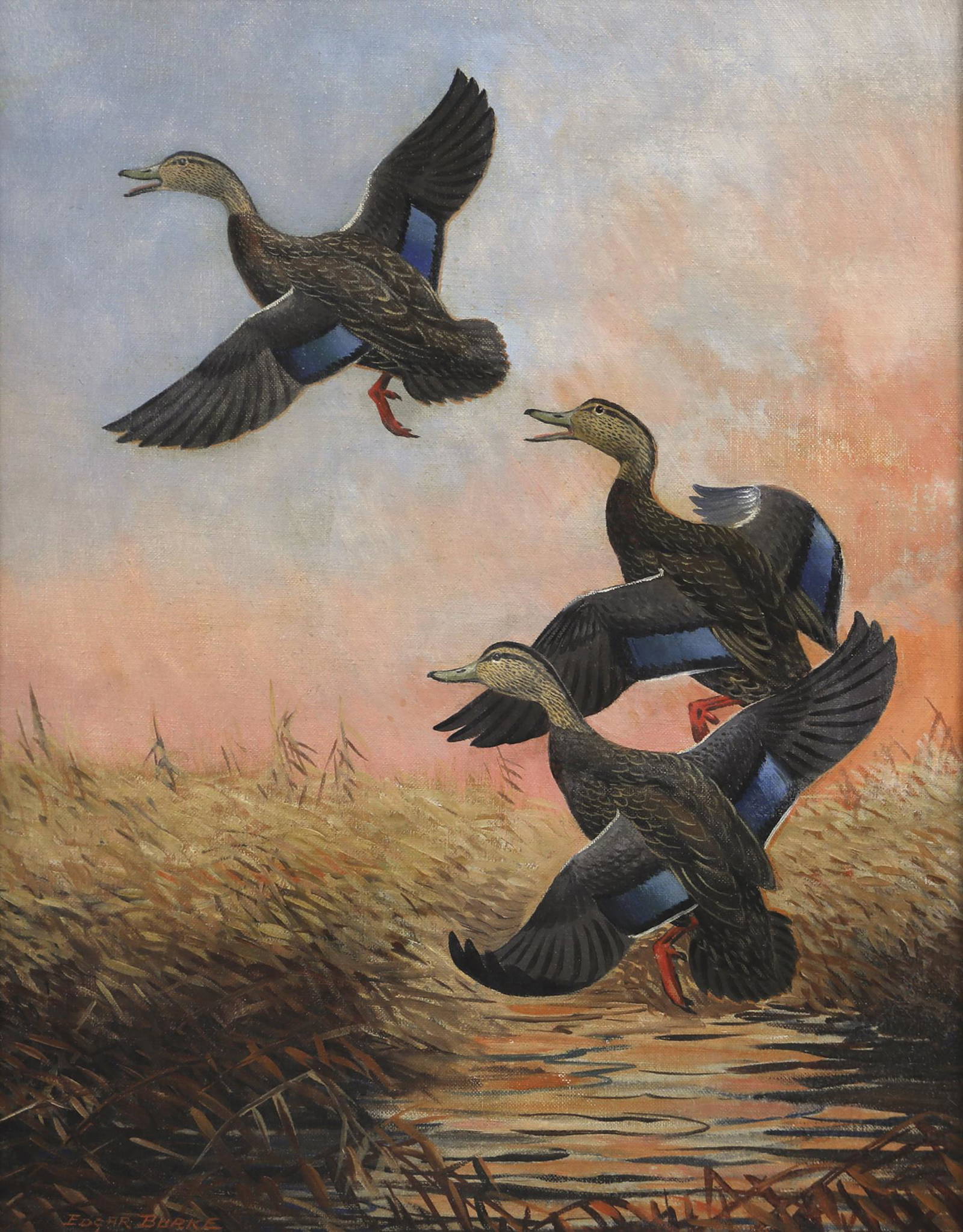 Edgar Burke (1889-1950), Flying Black Ducks Auction