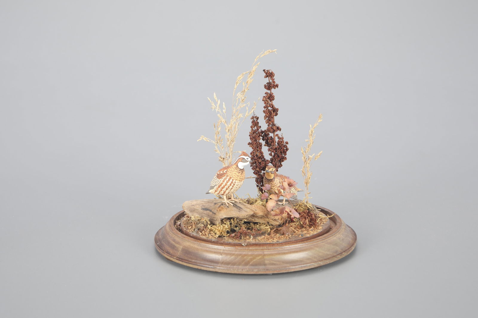 Miniature Quail Pair Auction