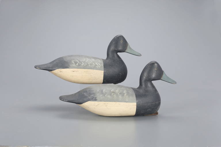Drake Bluebill Pair By John Updike (1886 1955)
