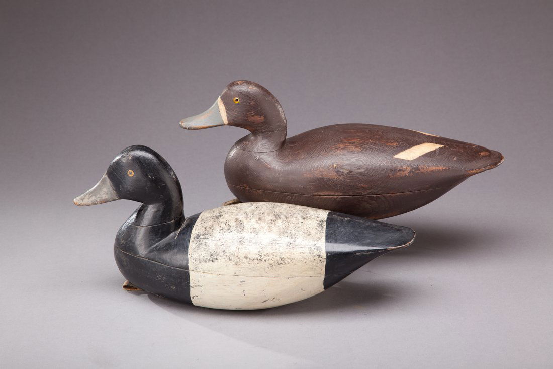 Bluebill Drake And Hen