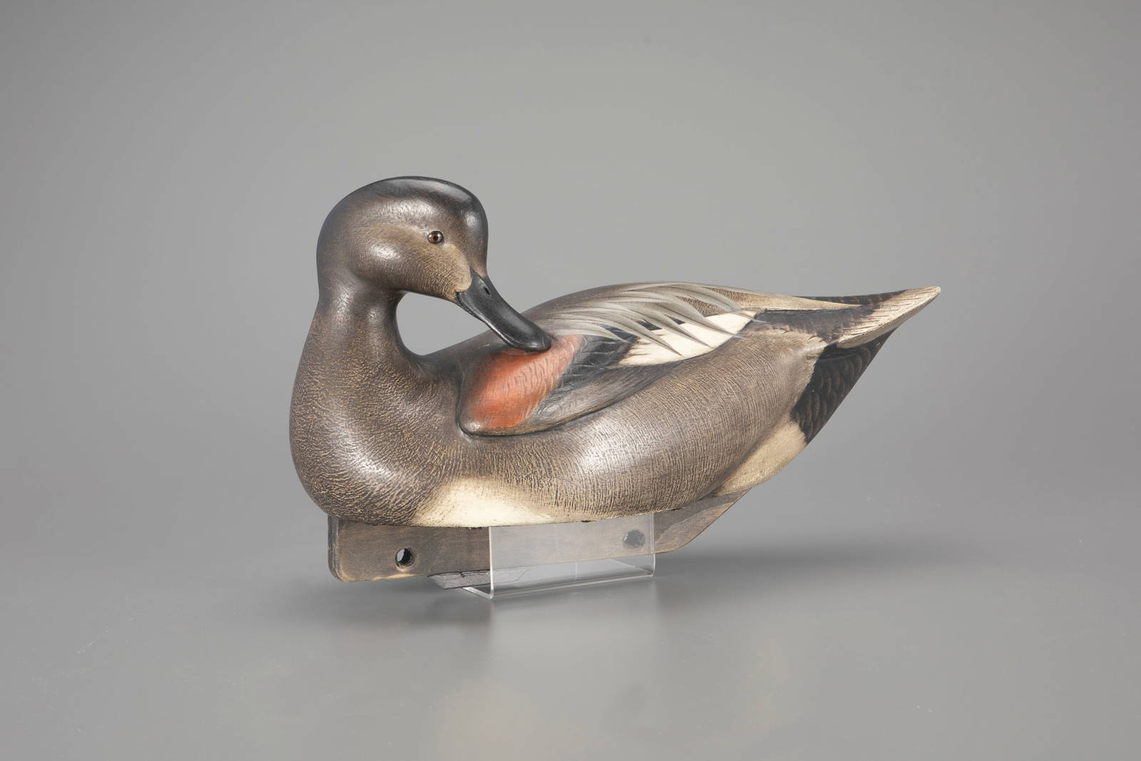 Outstanding Preening Gadwall Decoy By Jim Schmiedlin (1945-2015) Auction