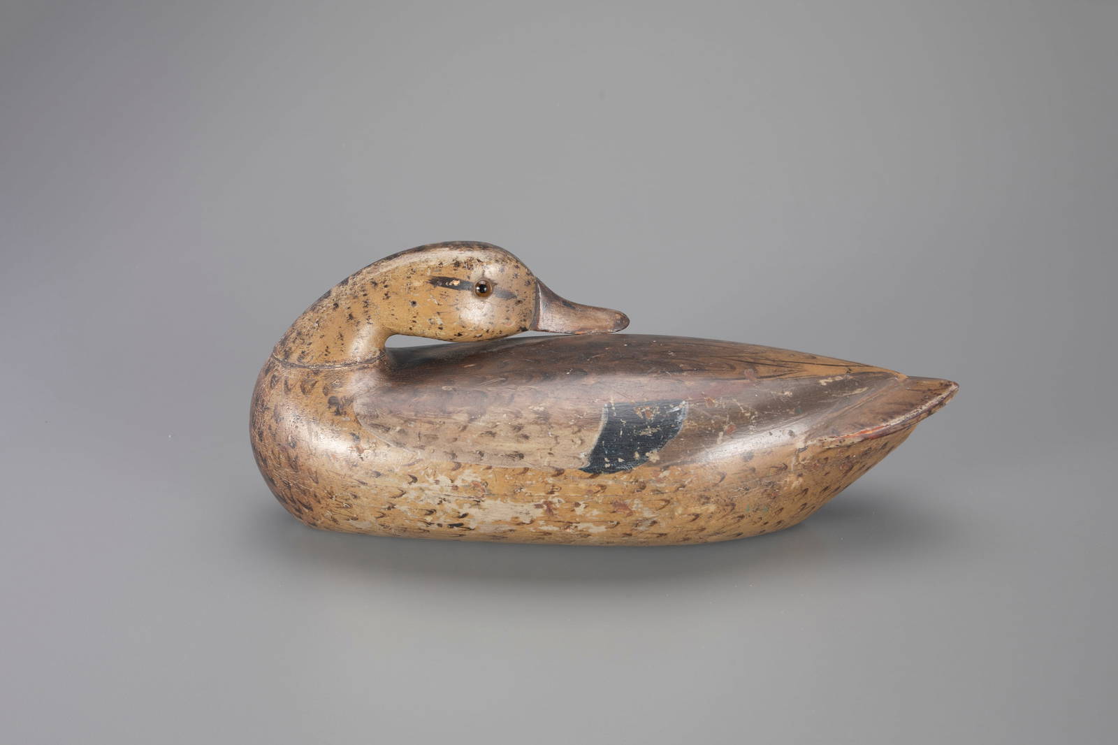 Preening Mallard Hen Decoy By Charles H. Perdew (1874-1963) Auction