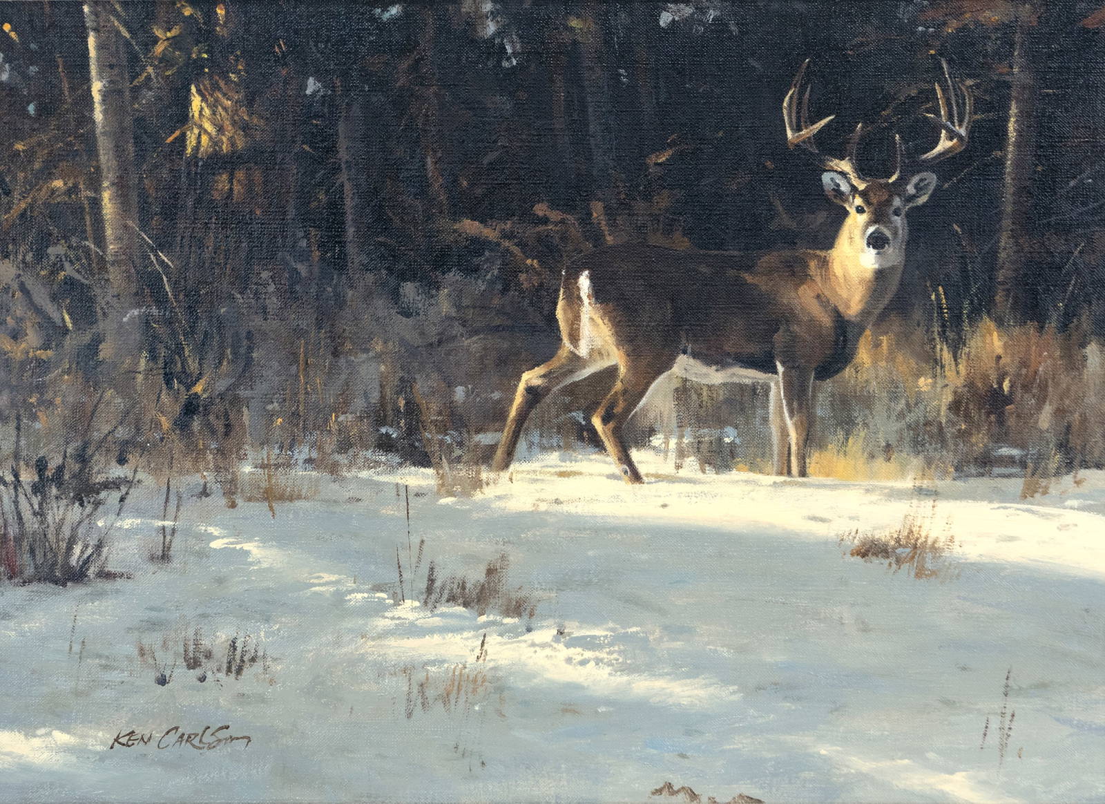 Ken Carlson (b. 1937), Big Buck In Snow Auction