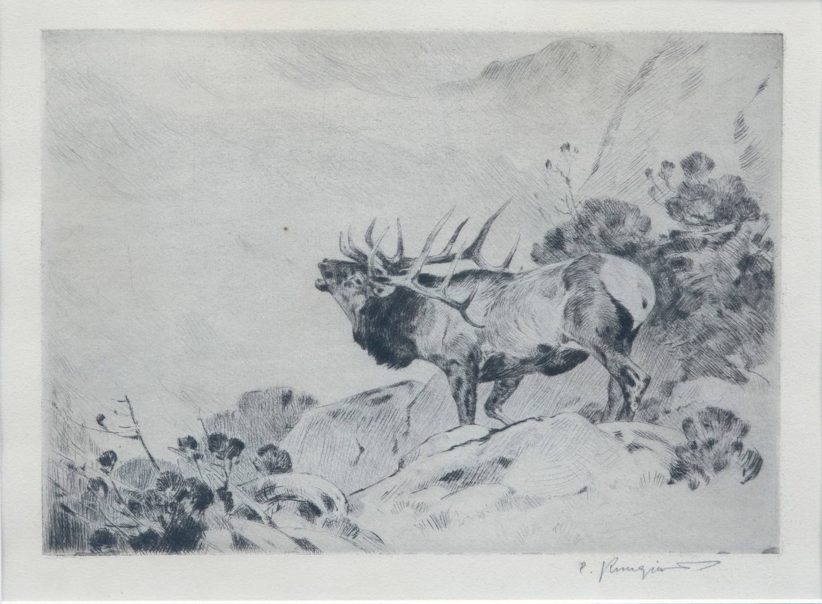 Carl Rungius (1869-1959), The Challenge Auction