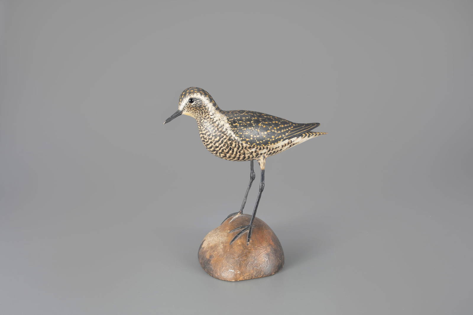 The Hardy-chace Crowell Golden Plover By A. Elmer Crowell (1862-1952 ...