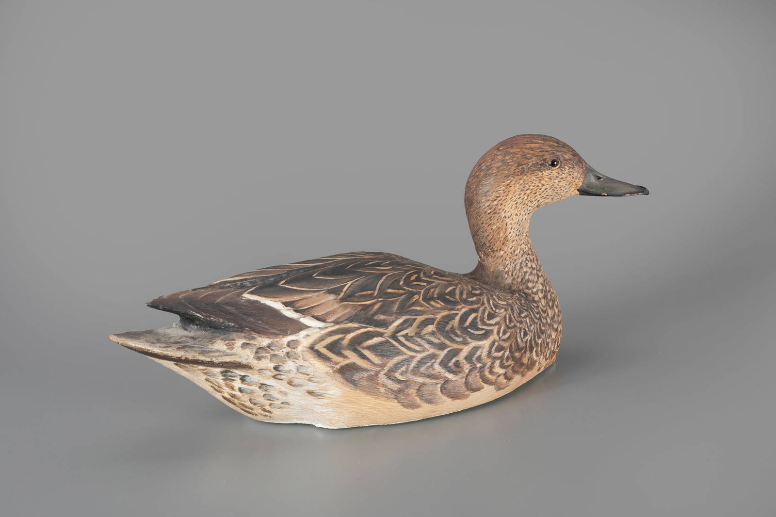Pintail Hen By John Scheeler (1925-1987) Auction