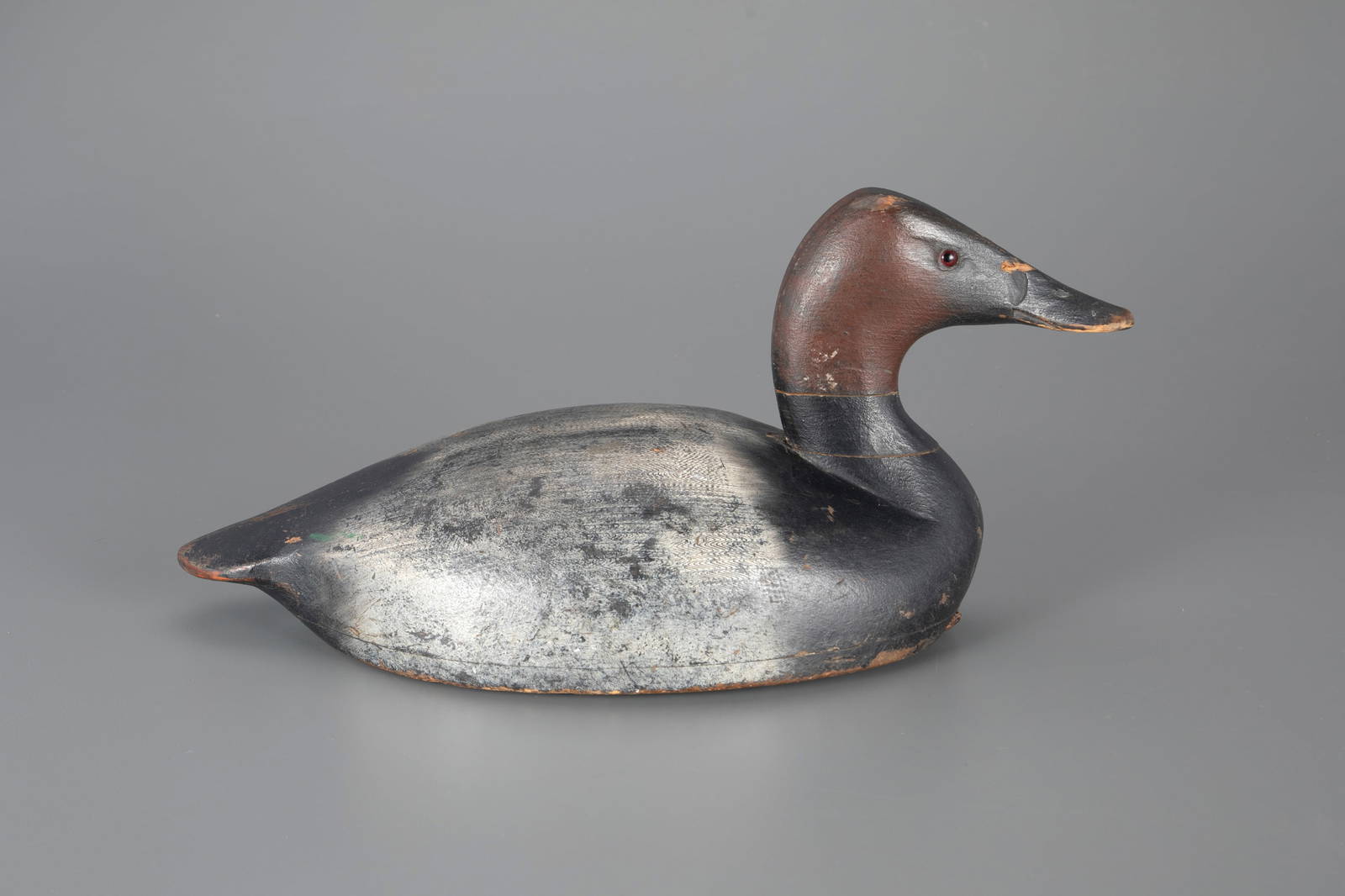 Canvasback Decoy By Thomas Chambers (1860-1948) Auction