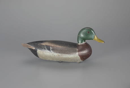 Tucked-head Mallard Decoy By Ferdinand L. Homme (1901-1963) Auction