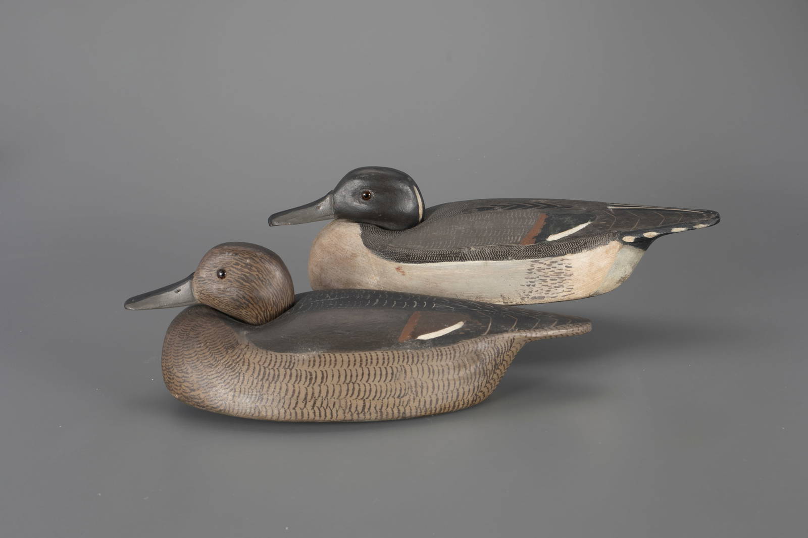 Tucked-head Pintail Pair By William "billy" Ellis (1865-1963) Auction
