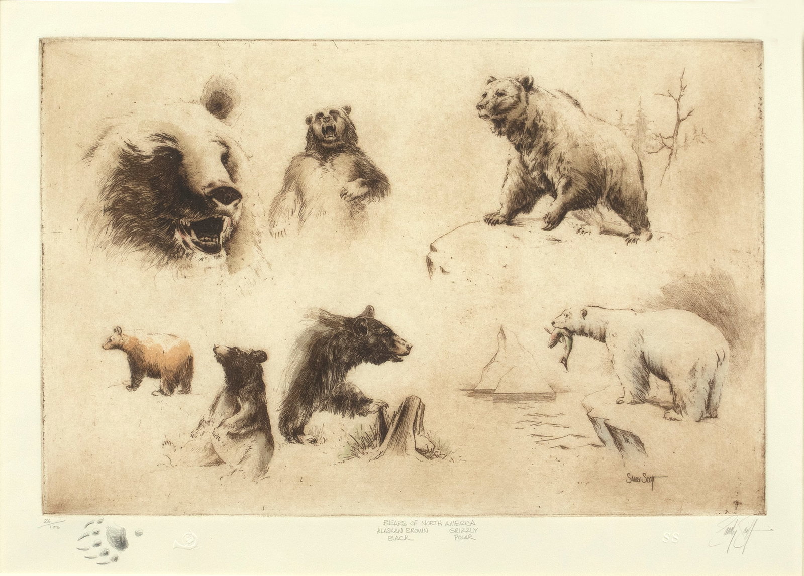Sandy Scott (b. 1943), The Bears Of North America Auction