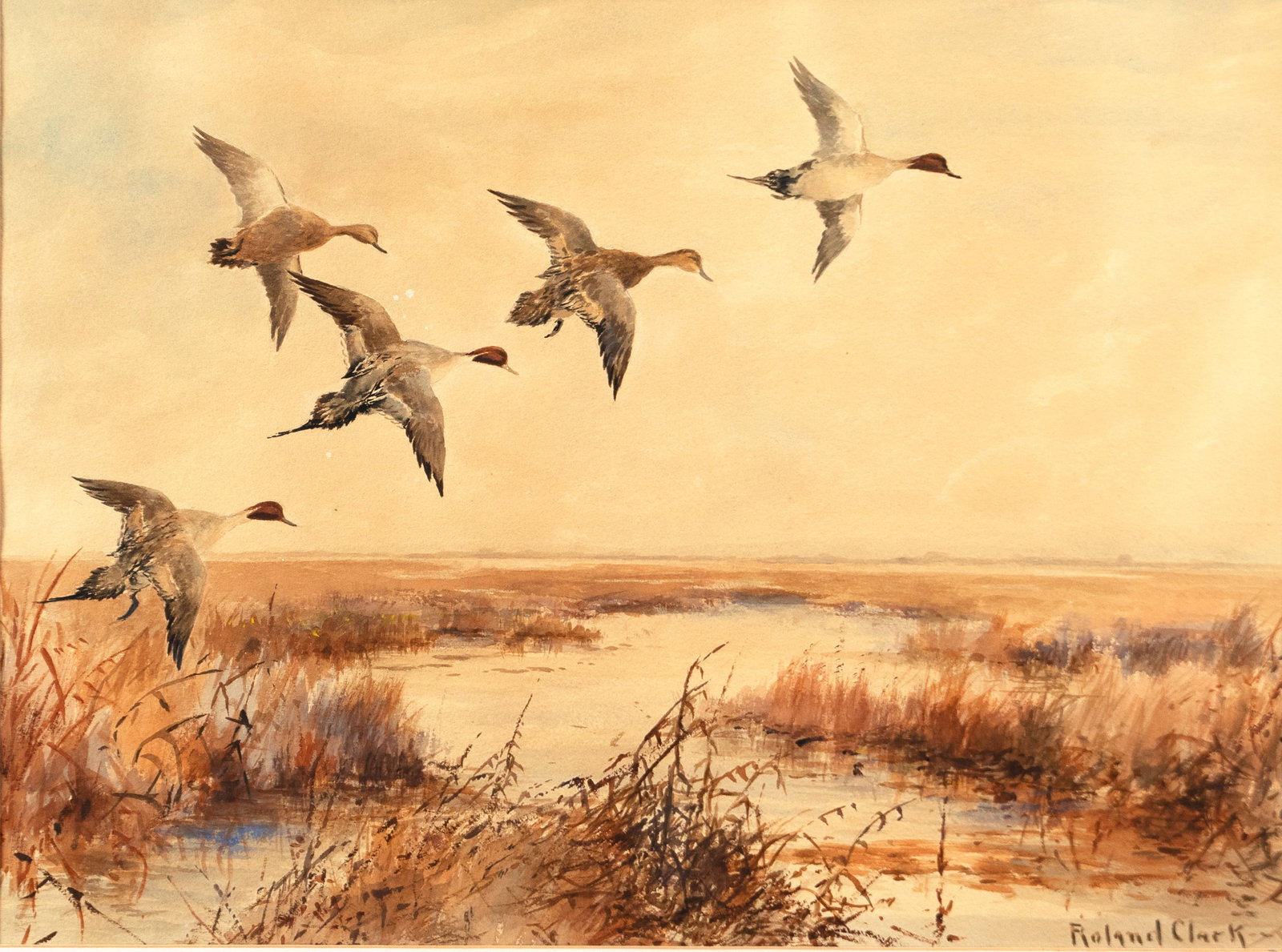 Roland H. Clark (1874-1957), Pintails At Sunset - Jul 11, 2025 | Copley ...