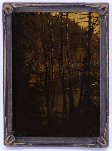 Northwest Forest Scene Orotone Photograph 7''x5''