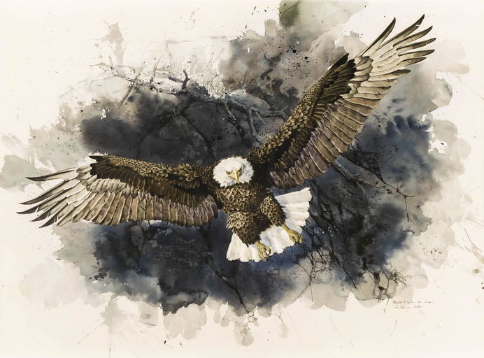 Ted Rand ''bald Eagle, San Juan'' 1980 Watercolor