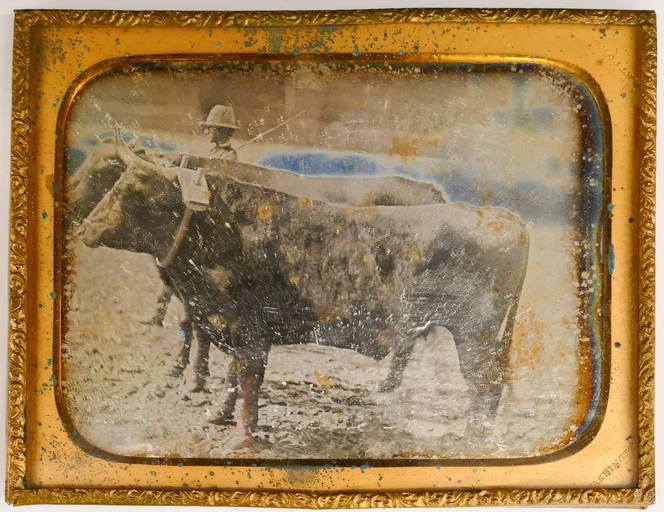 Augustus Washington (Hartford, CT) 1840's Half Plate Daguerreotype ...