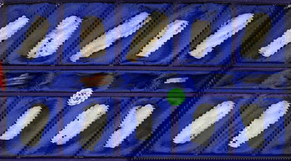 MBA Seattle Auction, WA - Upcoming Auctions & 128 Past Catalogs