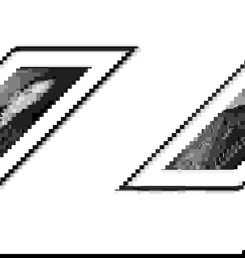 Monte Markham Signed Photo Auction