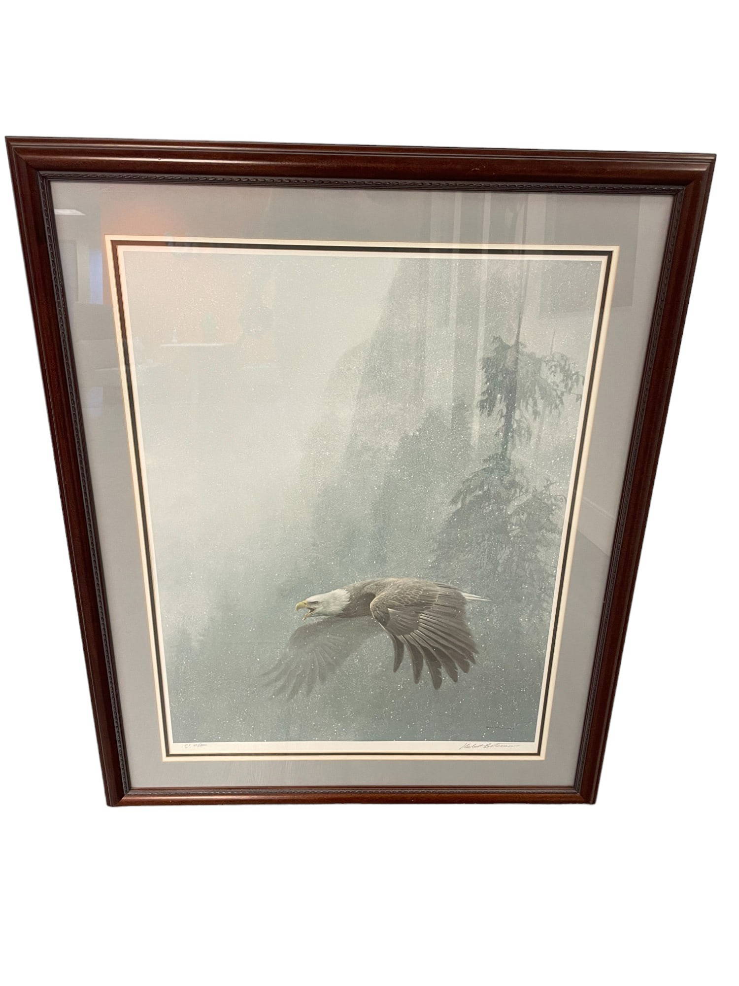 Robert Bateman Vigilance Limited Edition Giclee 401 Of 2,000 With Coa ...